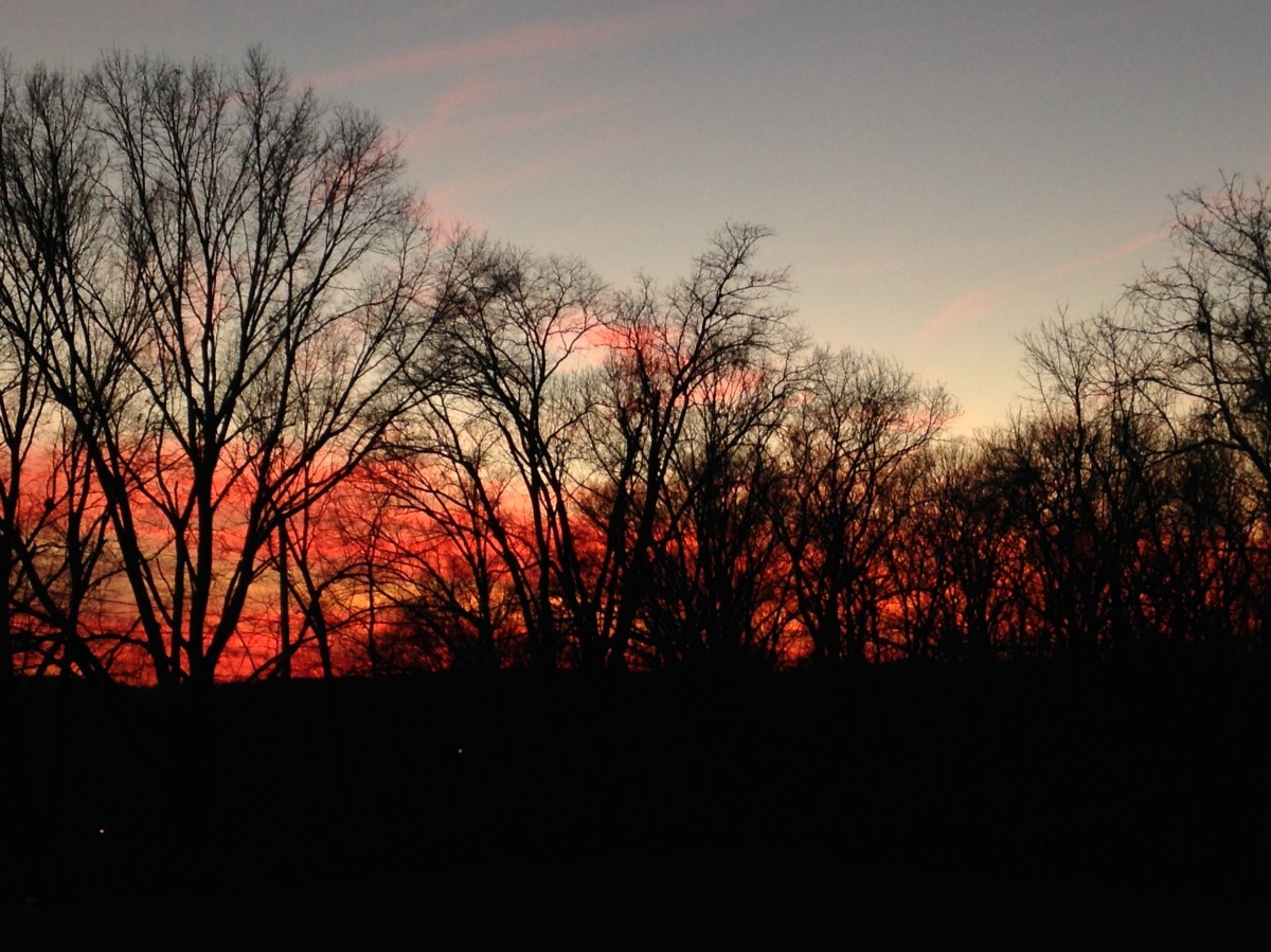 The Pain – Jerry Elder